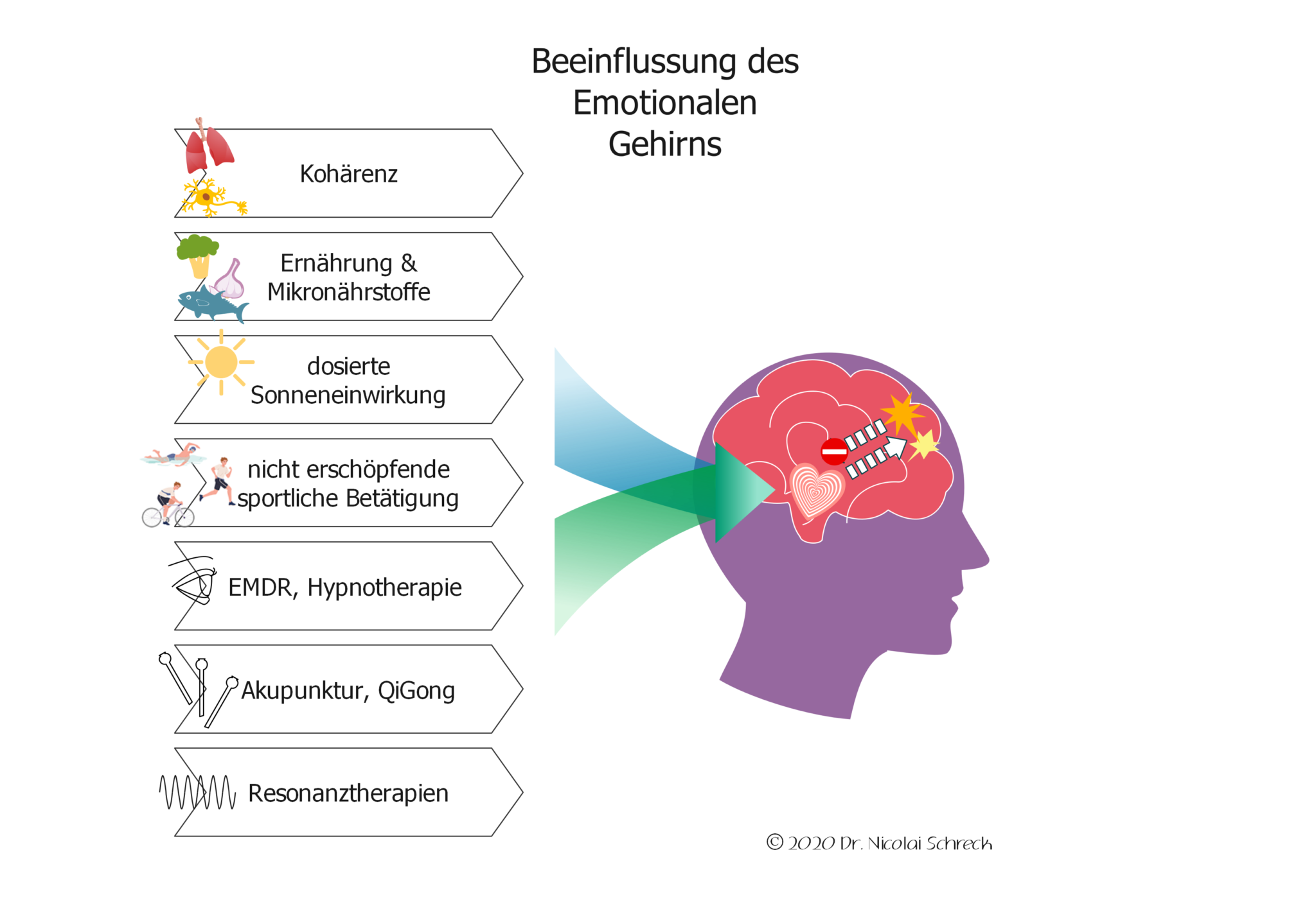 Emo-Hirn-Grafik – SchreckMed